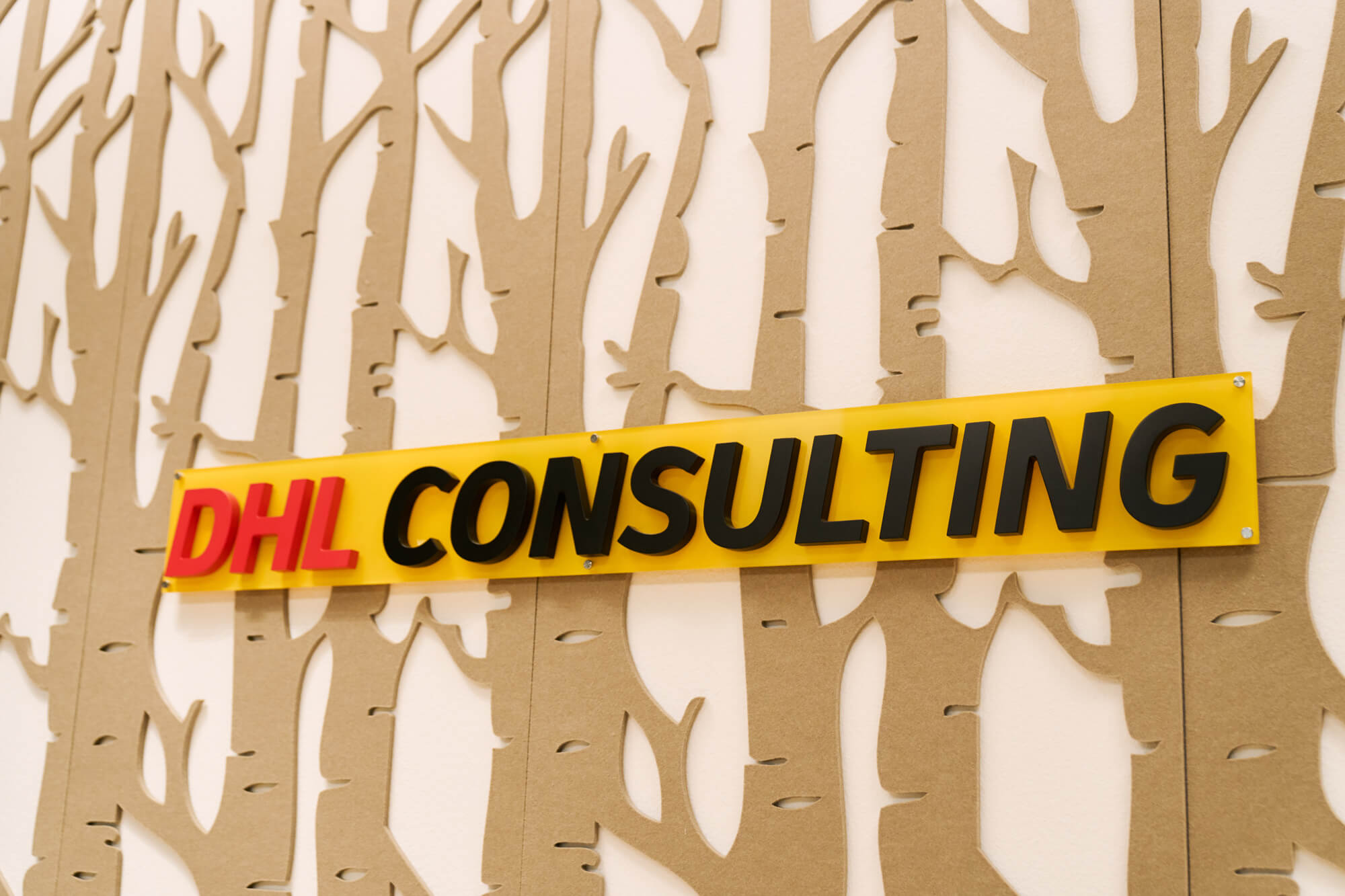 Case study course DHL Consulting