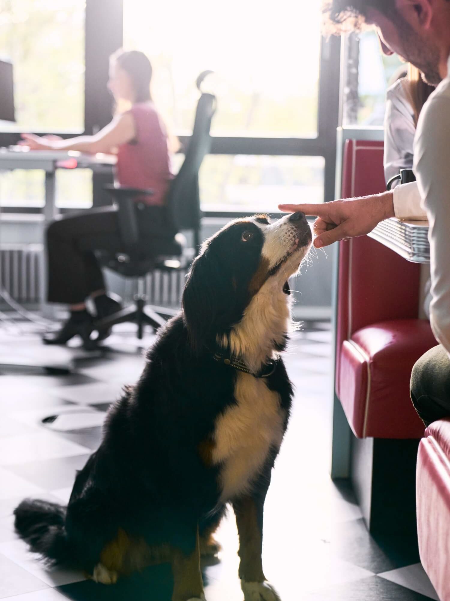 Inclusive culture and people-focused values | DHL Consulting